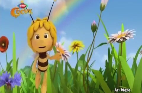 Arı Maya - Mayanın Doğumu | İzlesene.com