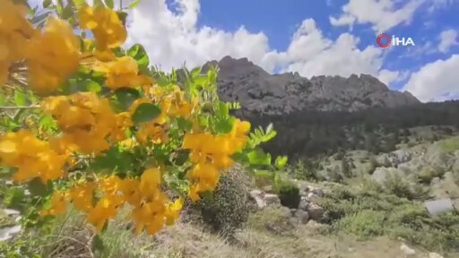 Endemik Bitkileri, Yaylaları Ve Tarihi Kaleleriyle Andırın Dikkat ...