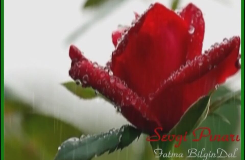 Sabah Duası - Allah Kabul Etsin. | İzlesene.com Sabah Duası - Allah Kabul Etsin. | İzlesene.com