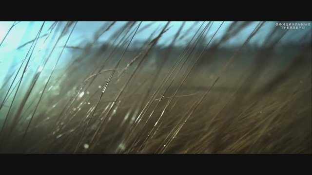 Koma (The Coma) filmi - Sinemalar.com